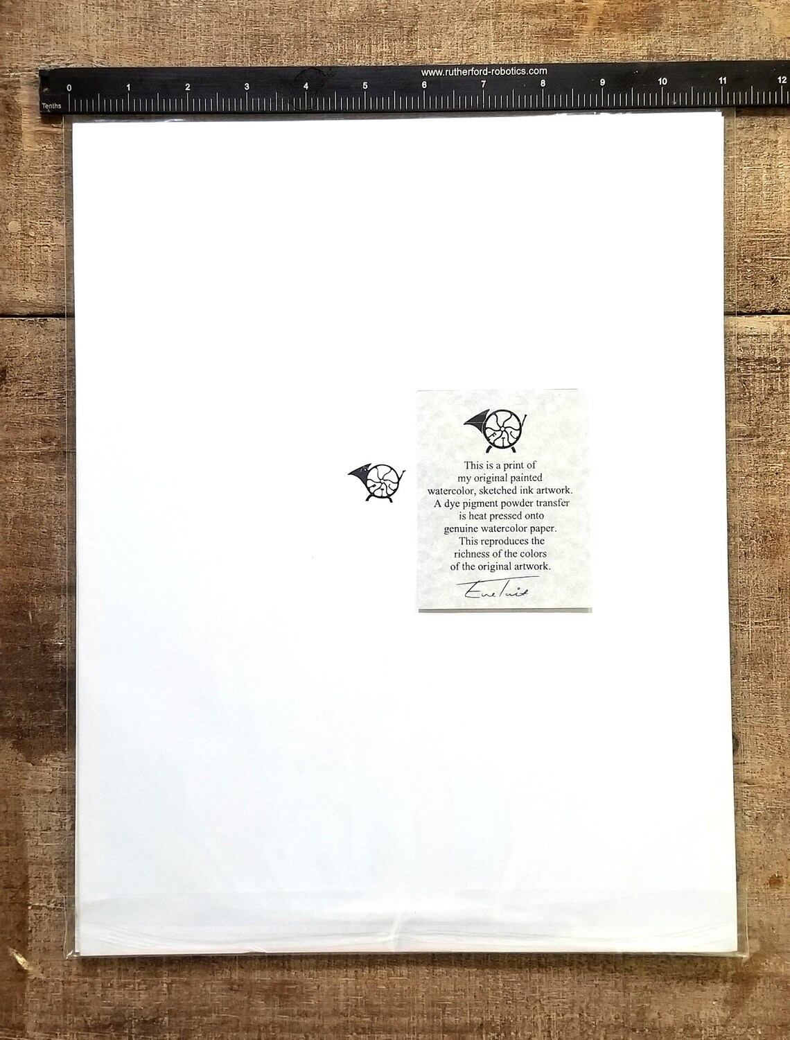 Spirit Illustrated Watercolor Painted Ink Sketched Watercolor - Etsy