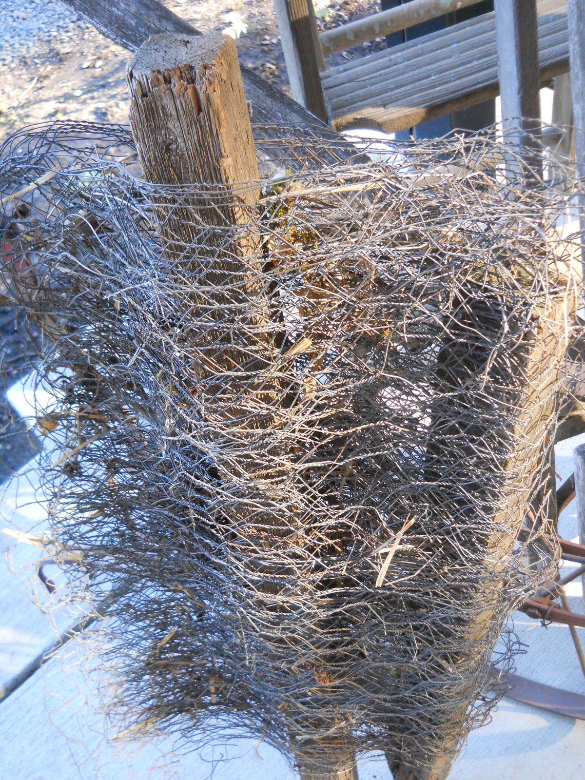 Antique 1930s Rustic Chicken Wire Farmhouse Porch Sculpture | Etsy