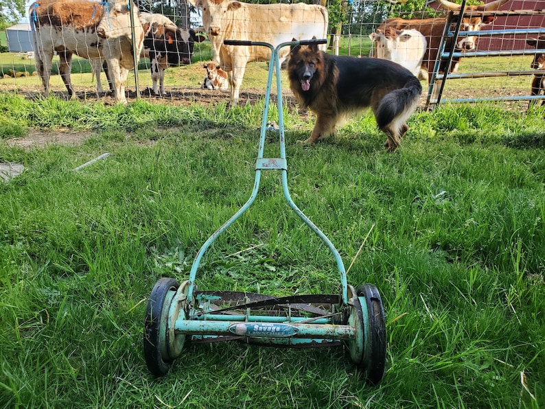Antique Savage Hand Lawn Push Mower Rare Garden Shed Aqua Turquoise ...