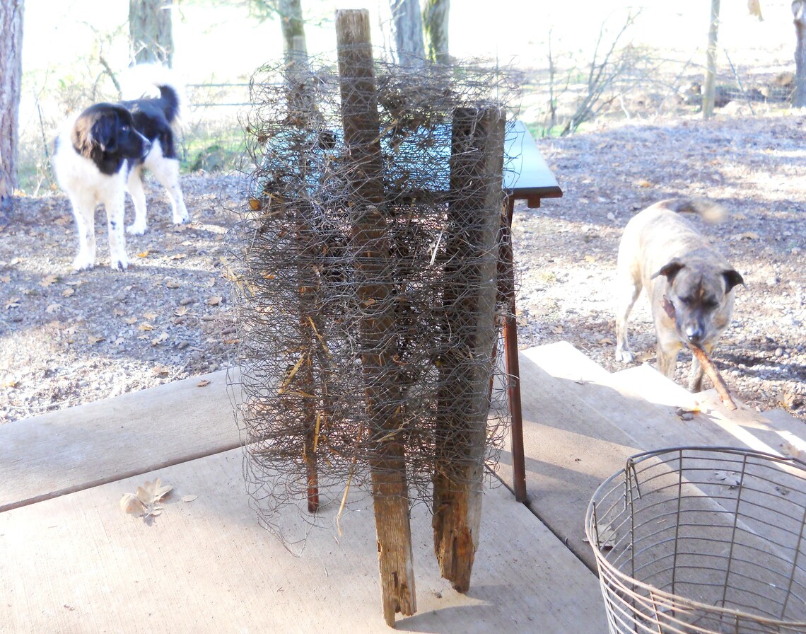 Antique 1930s Rustic Chicken Wire Farmhouse Porch Sculpture | Etsy
