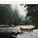 Rare 1st Lithograph 1984 Wolf Dog Listed Rod Frederick Wolves Painting ...
