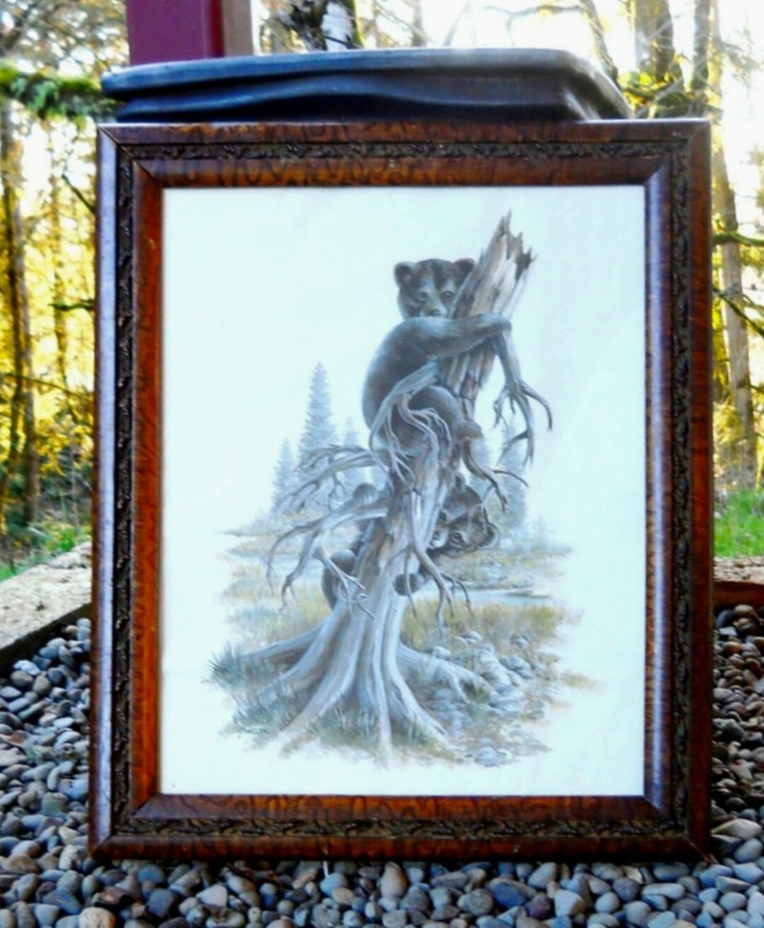 Rustic Bear Art Wisconsin Artist Harry J Mueller Bear Cubs Print Signed ...