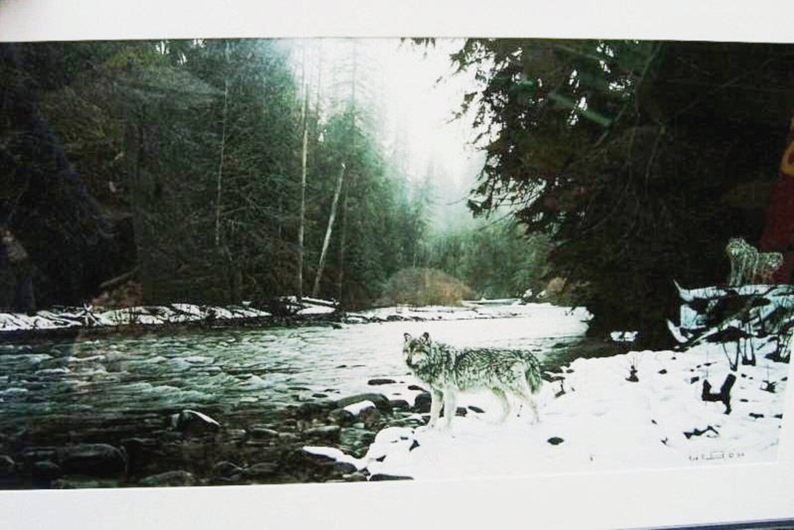 Rare 1st Lithograph 1984 Wolf Dog Listed Rod Frederick Wolves Painting ...