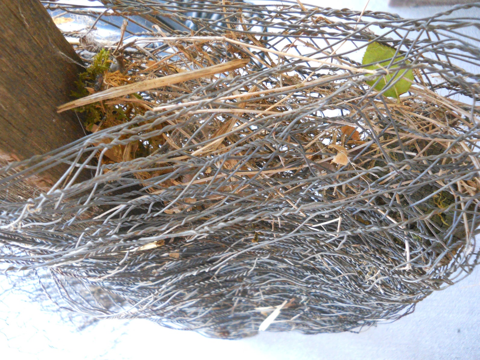 Antique 1930s Rustic Chicken Wire Farmhouse Porch Sculpture | Etsy