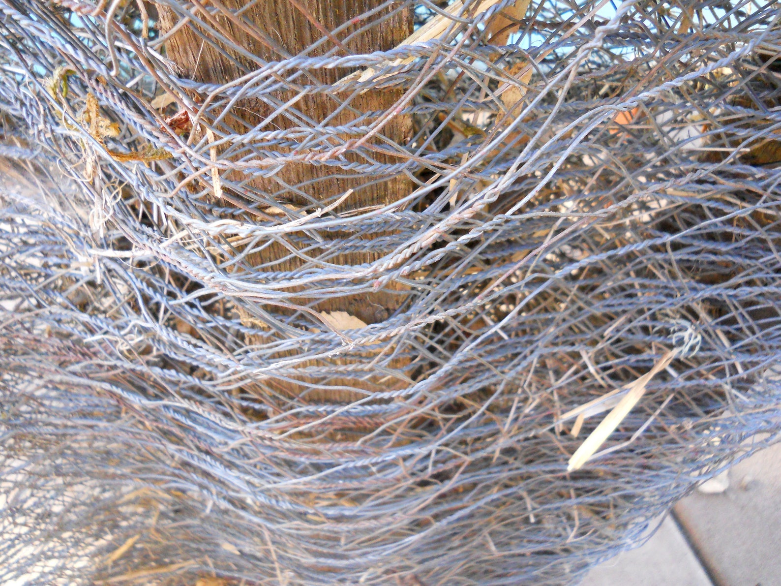 Antique 1930s Rustic Chicken Wire Farmhouse Porch Sculpture | Etsy