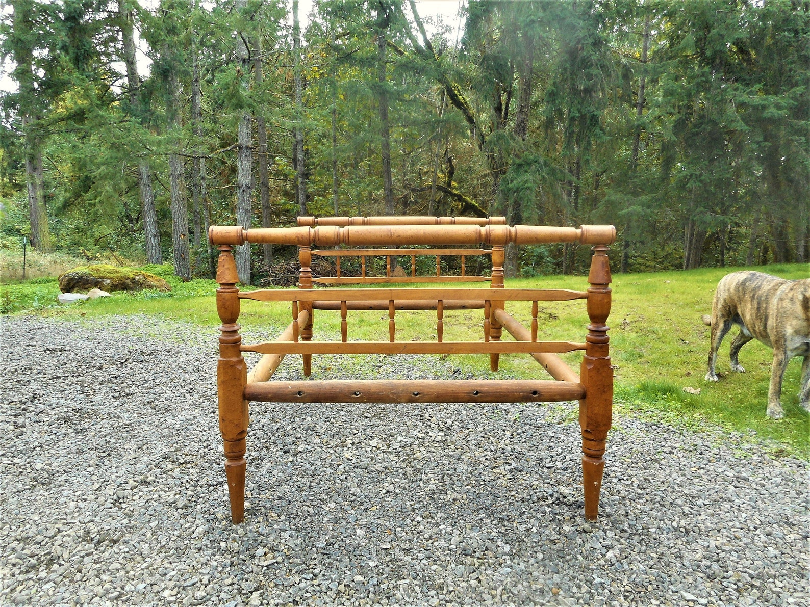 Antique 1700s-1800s Fiddleback Maple American Farmhouse Rope Bed / Day ...