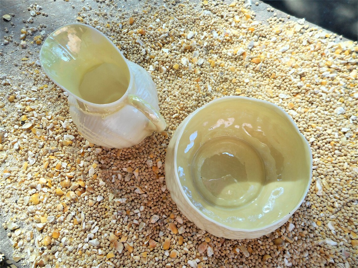 Irish Belleek Thin Ivory White Porcelain Lotus Seashell | Etsy