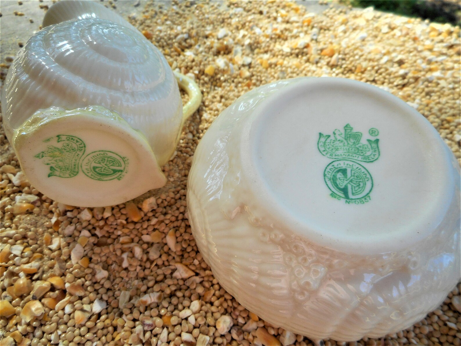 Irish Belleek Thin Ivory White Porcelain Lotus Seashell | Etsy