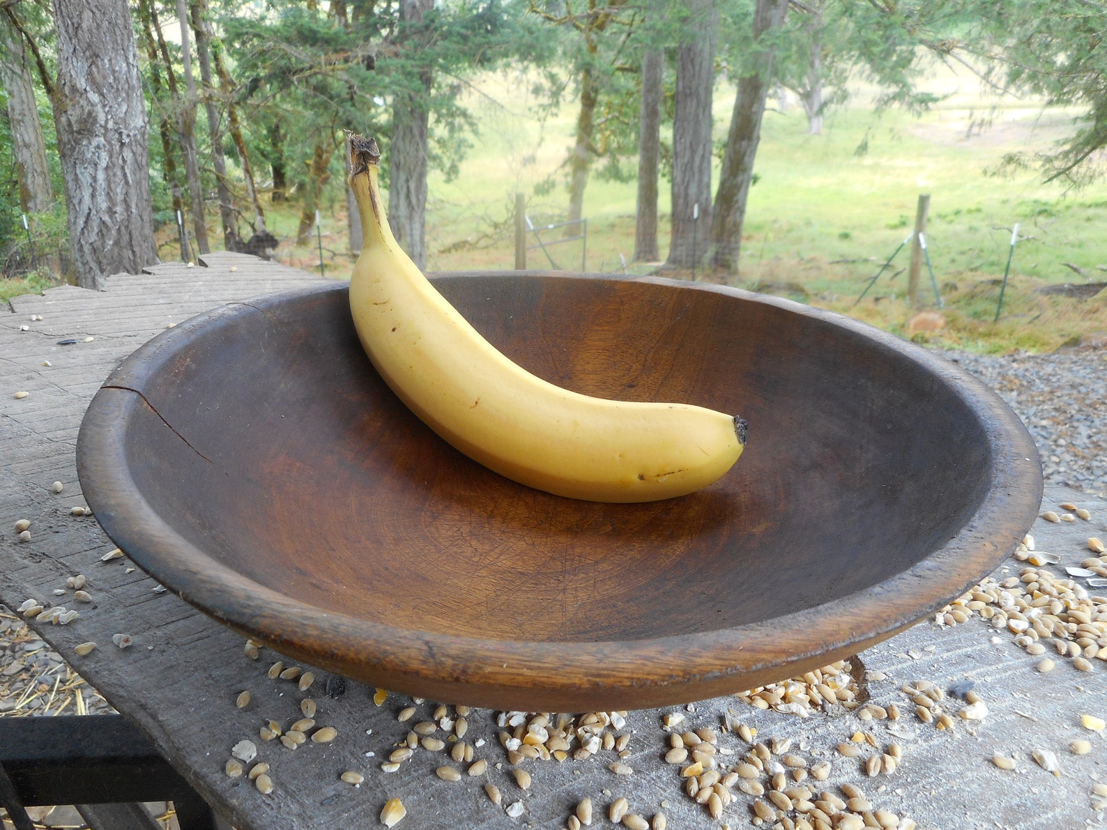 Antique Farmhouse 1880s Kitchen Country Primitive Wooden Ware | Etsy
