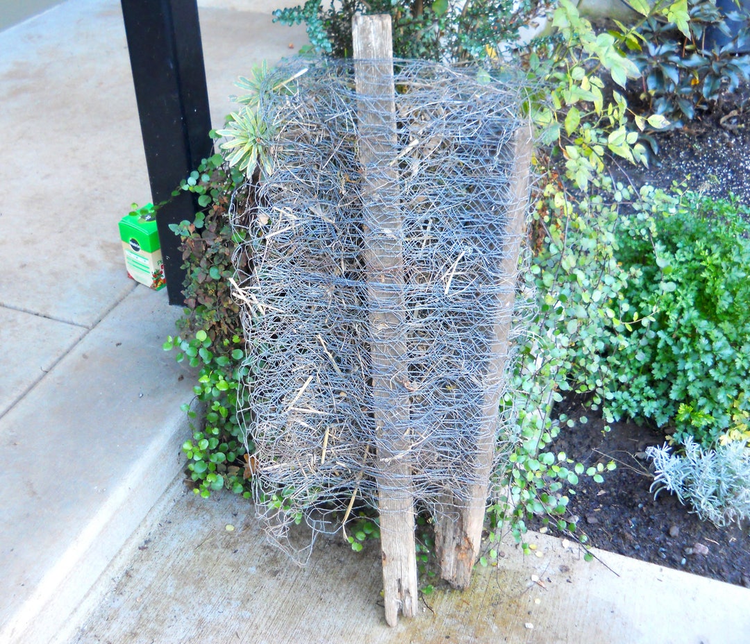 Antique 1930s Rustic Chicken Wire Farmhouse Porch Sculpture Hen House ...