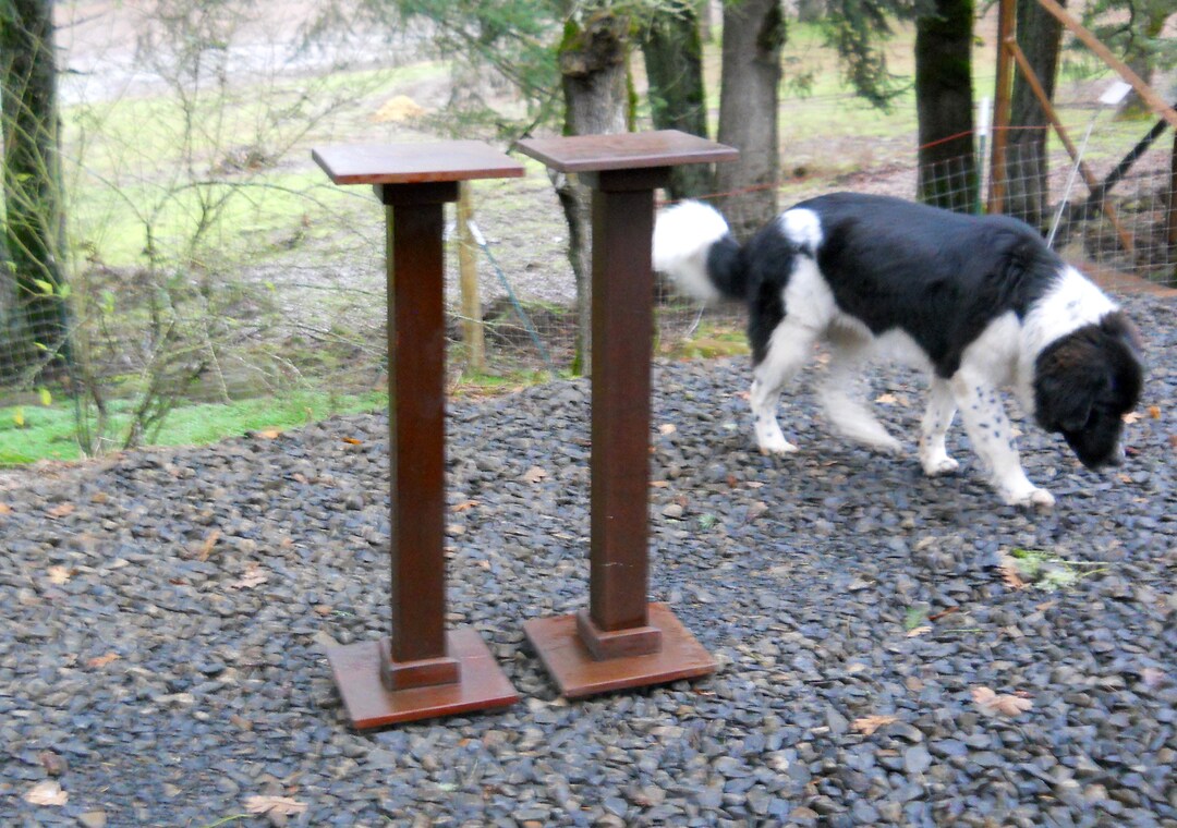 Rustic Fir Wood Column Pillar Riser Fern Plant Stand Pair Country ...