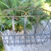 Rectangle Blue Iron Wire Storage Pannier Basket Organizing - Etsy