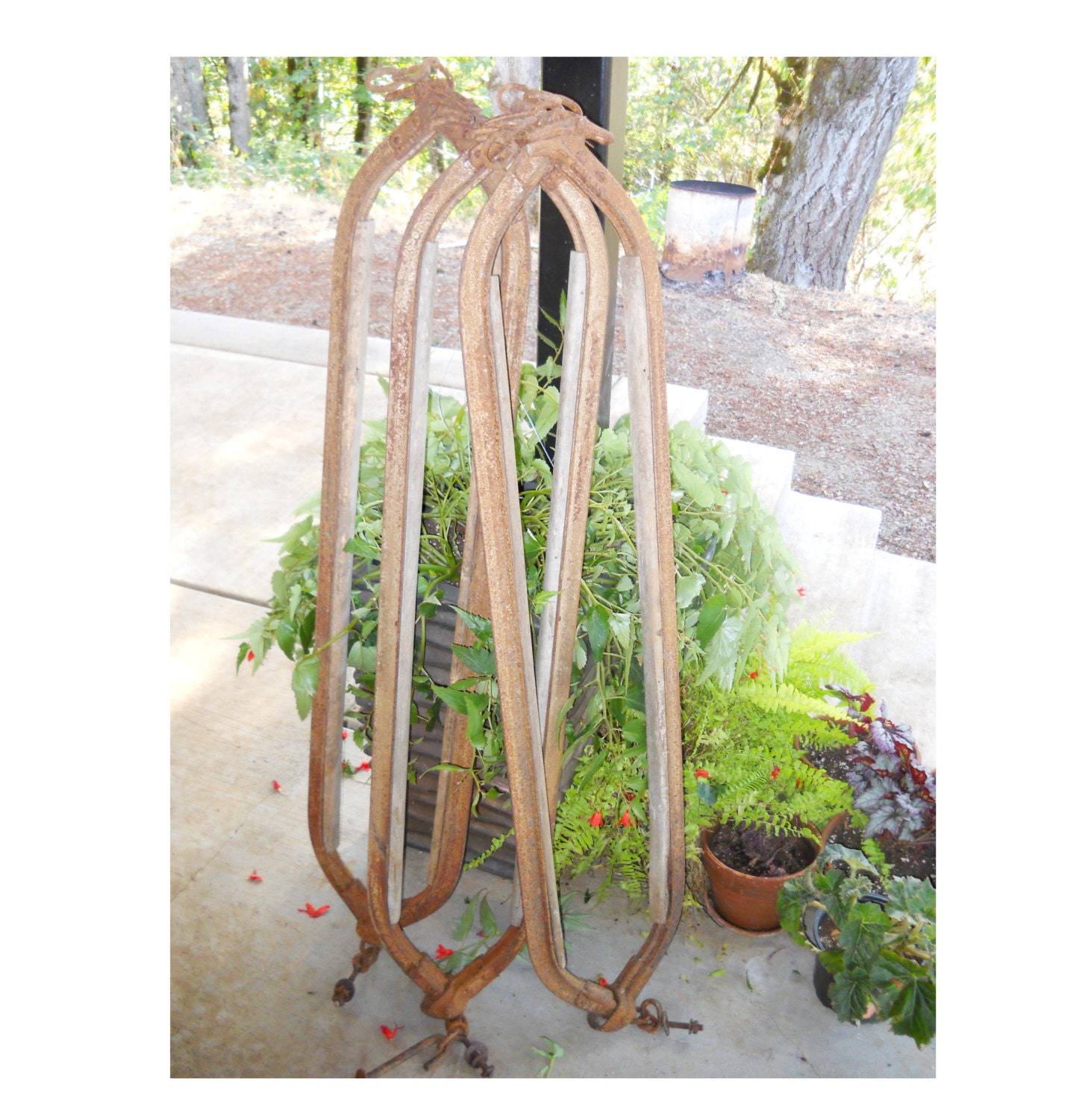 One Antique Rustic Iron Cattle Cow Stanchion Iron Wood Garden Wall Rack ...