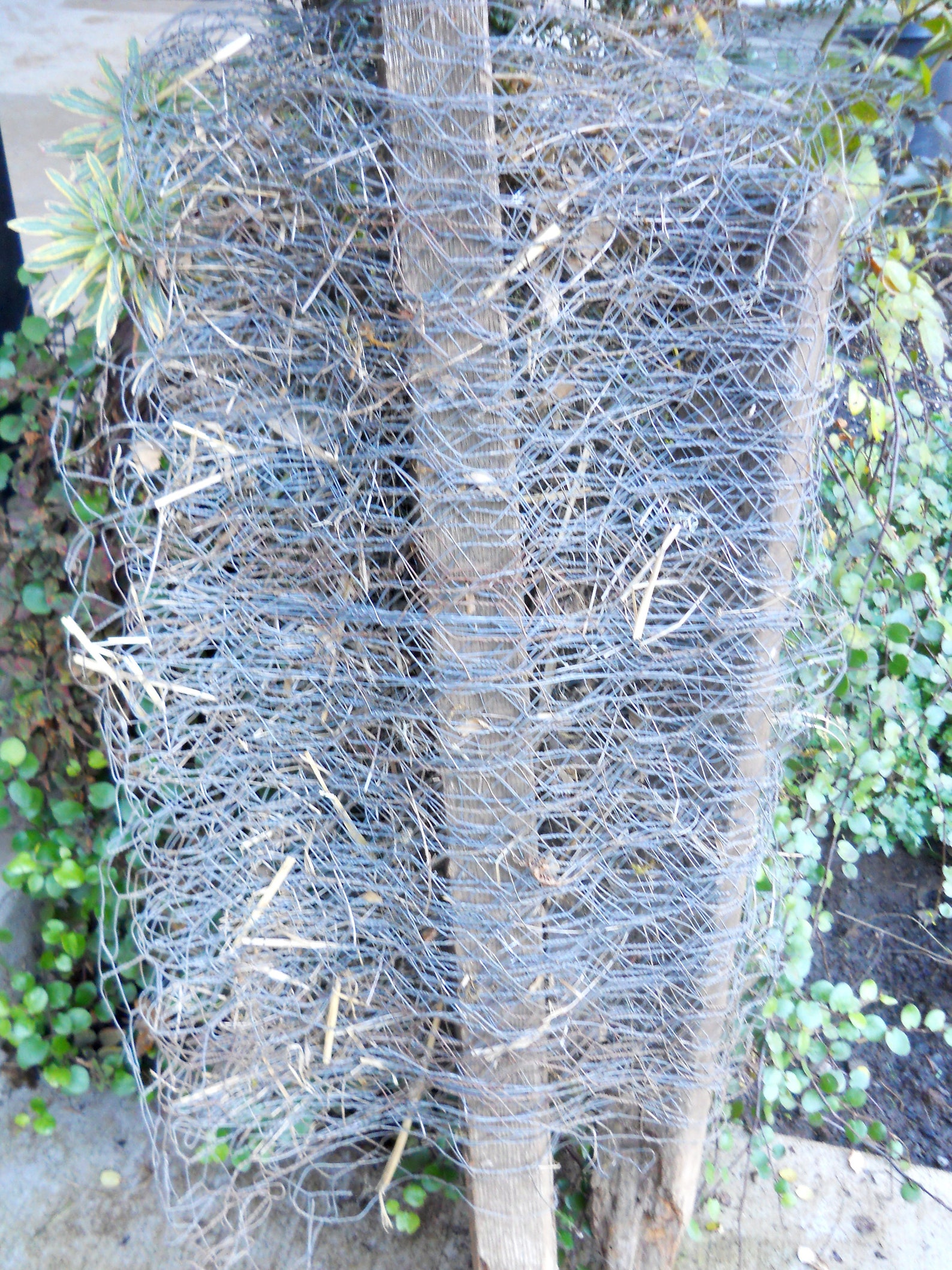 Antique 1930s Rustic Chicken Wire Farmhouse Porch Sculpture | Etsy