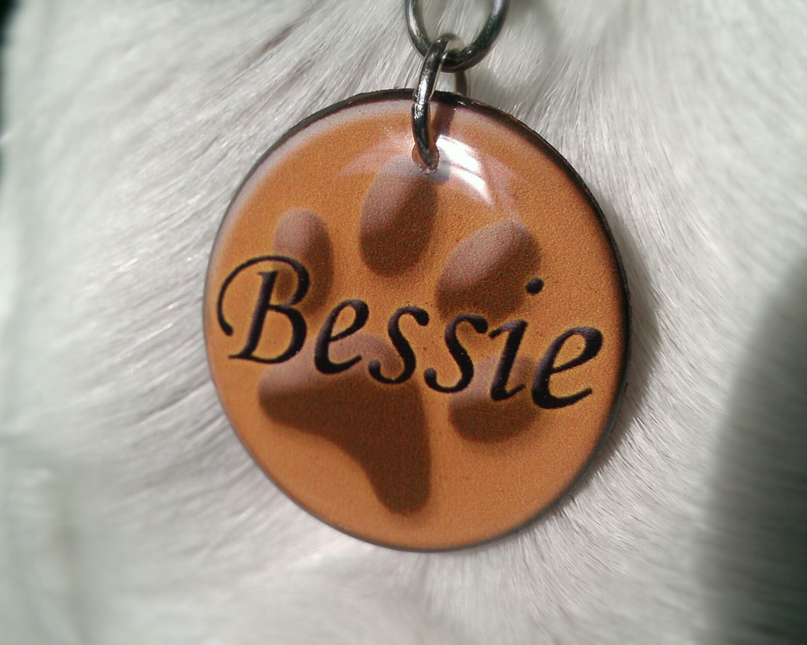 Custom / Personalized Pet ID Tags for Dog or Cat - Etsy