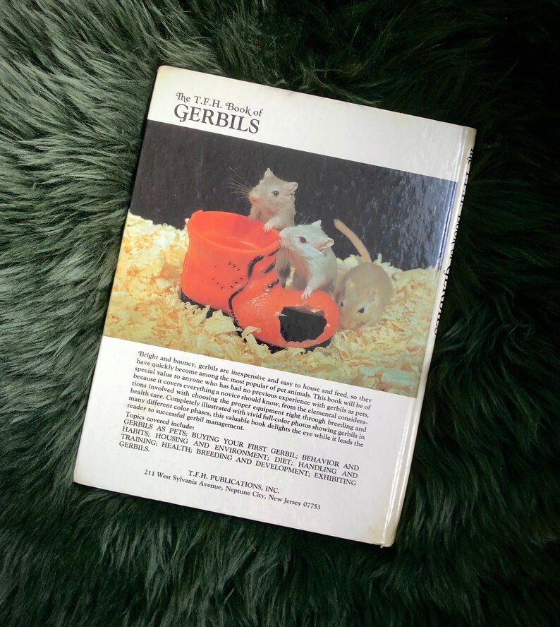 1980s Color Photography Gerbil Book / Frameable Animal Photography ...