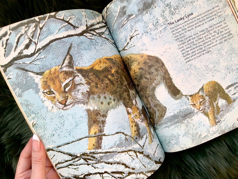 1970s Children’s Animal Book / Frameable Color Illustrations / Retro ...