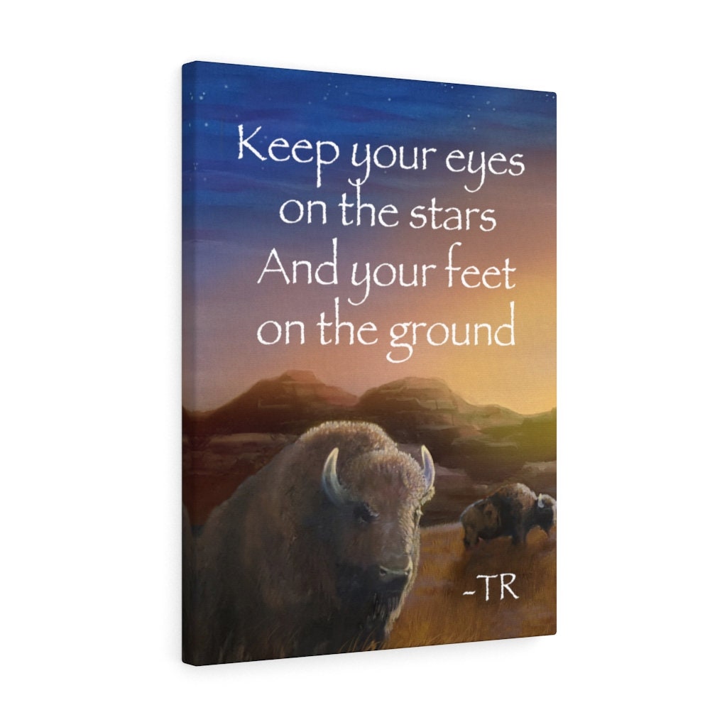Theodore Roosevelt Quote, Bison Picture, Buffalo Picture, Inspirational ...