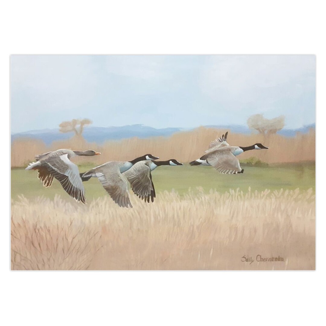 Autumn Geese Notecards, 10 Cards and Envelopes, Wildlife, Birds, Nature ...