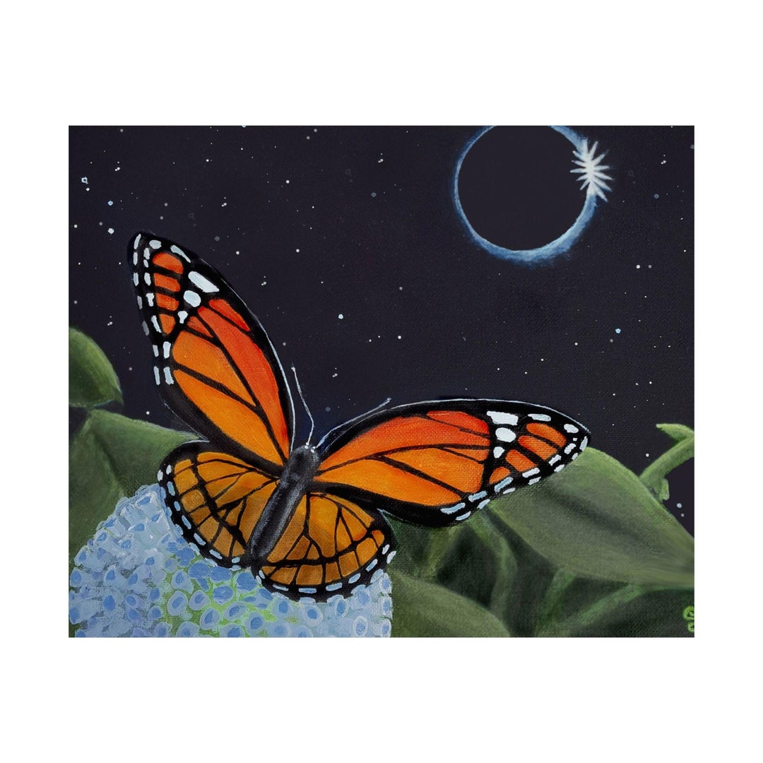 Monarch Butterfly Poster, Fine Art Paper, Butterfly Picture, Solar ...