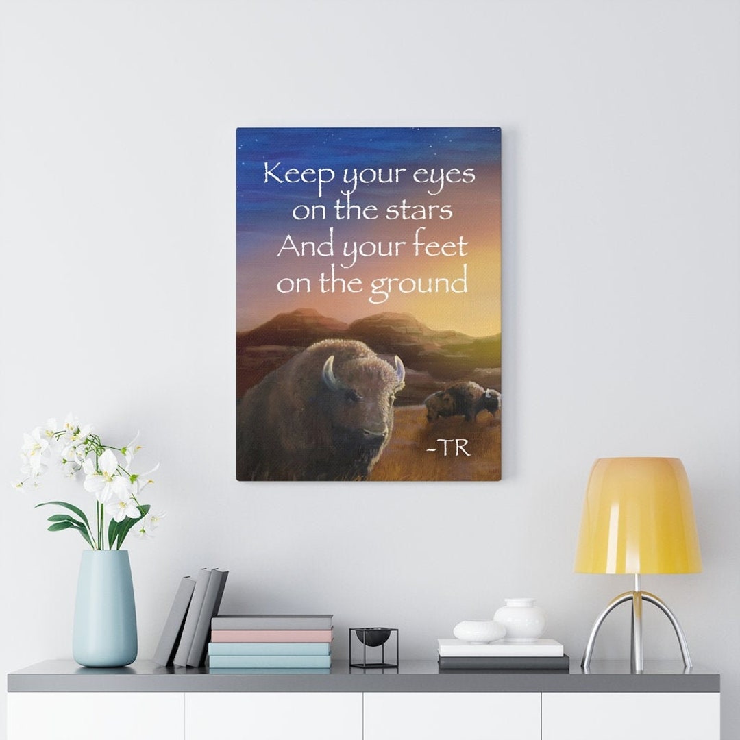 Theodore Roosevelt Quote, Bison Picture, Buffalo Picture, Inspirational ...