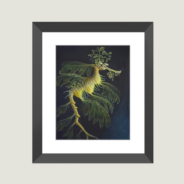 Leafy Sea Dragon - Etsy