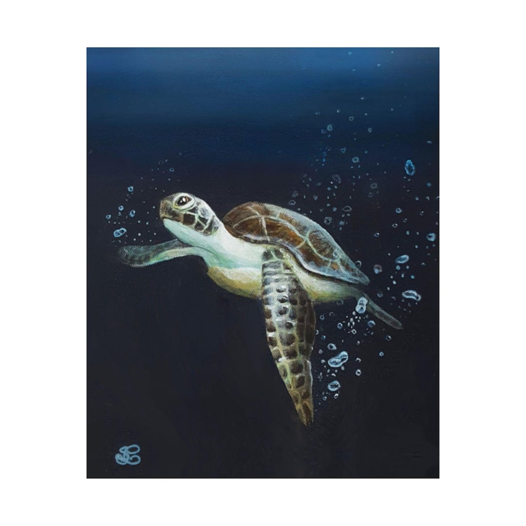 Sea Turtle Poster Ocean Life Art Sea Life Marine Animals Diver Gift ...