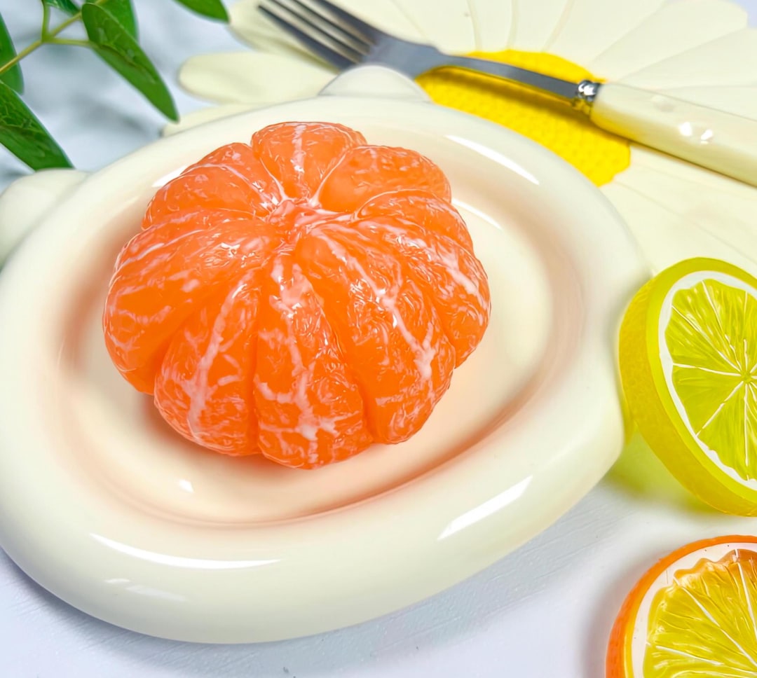 Hand Drawn Oranges Taba Squishy Toy,soft Stress Relief Toy,unique Fun ...