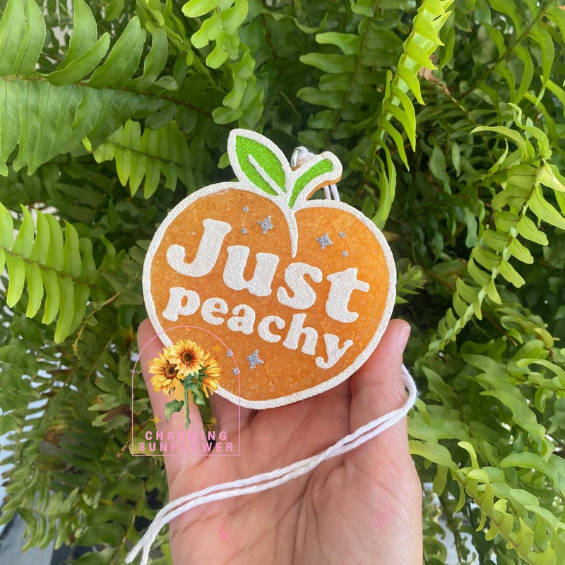 Just Peachy in a Frame - Etsy