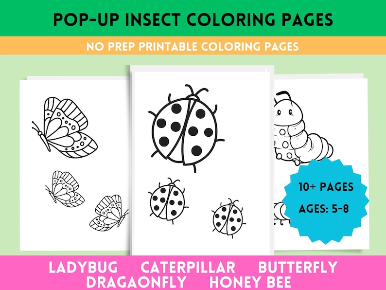 3D Pop-up Insect Coloring Pages | Kids Craft Activity (digital Download ...