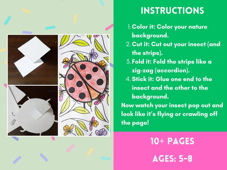 3D Pop-up Insect Coloring Pages | Kids Craft Activity (digital Download ...