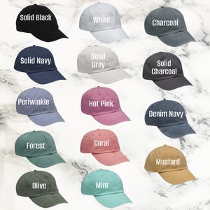 Iowa IA State Outline Embroidered Hat Unisex Gift All 50 States ...