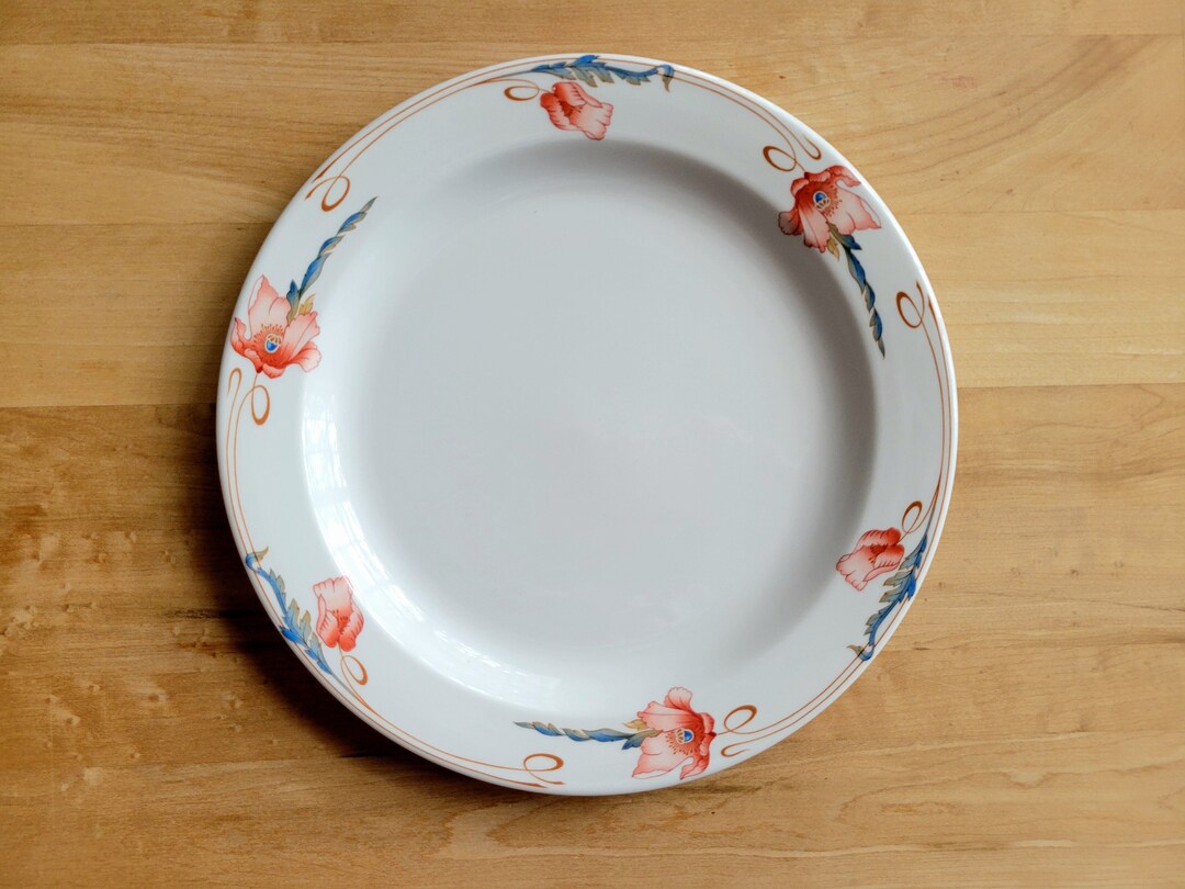 Set of 2 Dudson 9-3/4" Plates - Vintage - Made in England - Dudson 4034 ...