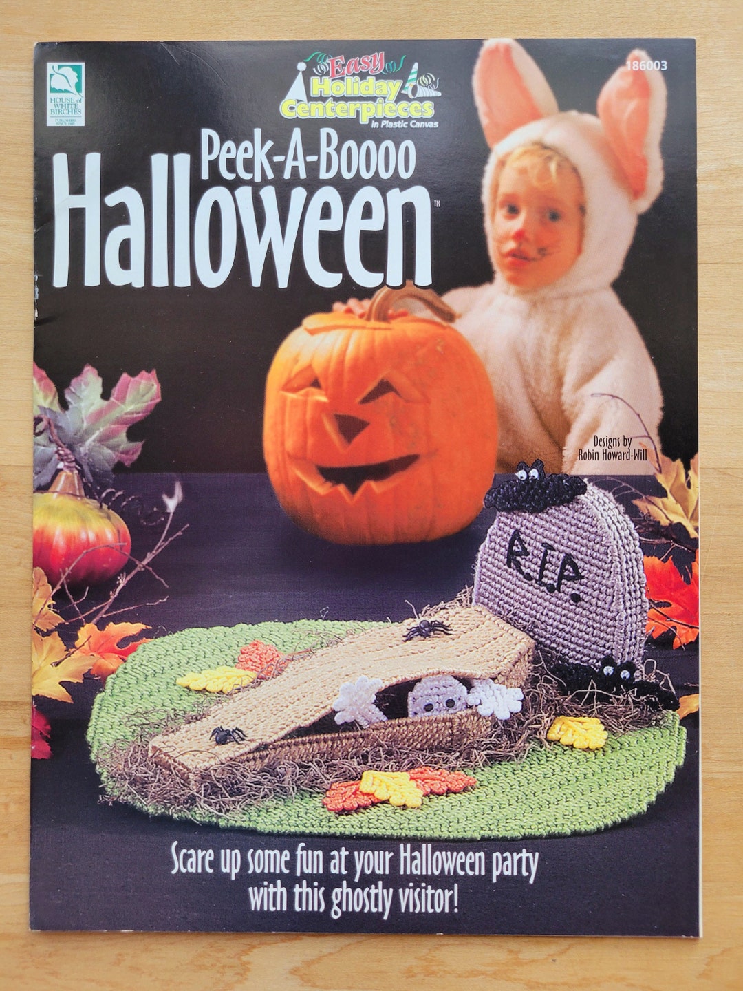 Peek-a-boo Halloween - Vintage Plastic Canvas Pattern Booklet - C. 1980 ...
