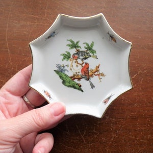 Octagon-shaped Trinket Dish W/ Birds Plants and Insects - Etsy