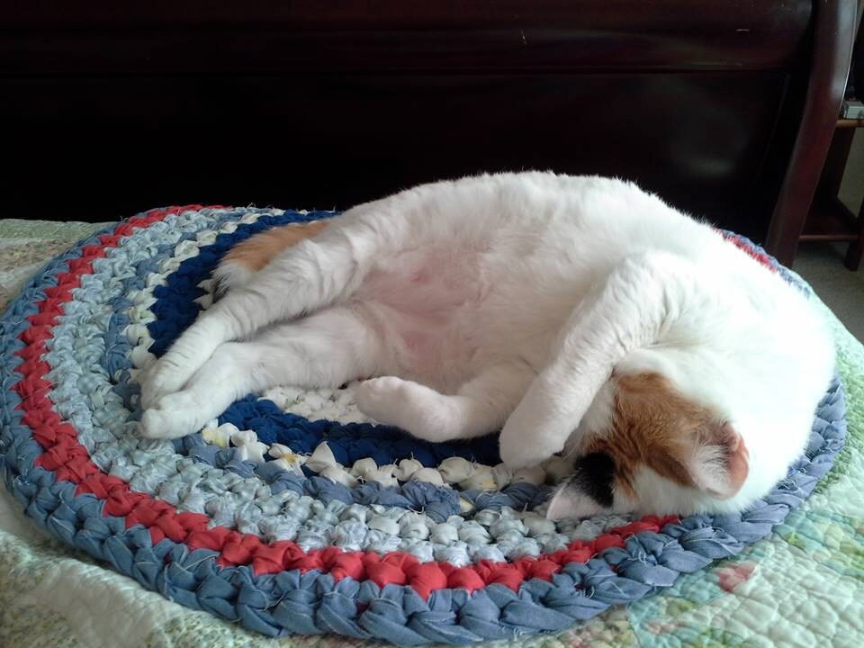 Artisan Crochet Rag Rug Cottage Shabby Chic Yipes Stripes | Etsy