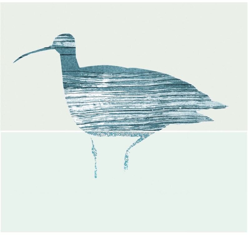 Avocet Print - Etsy