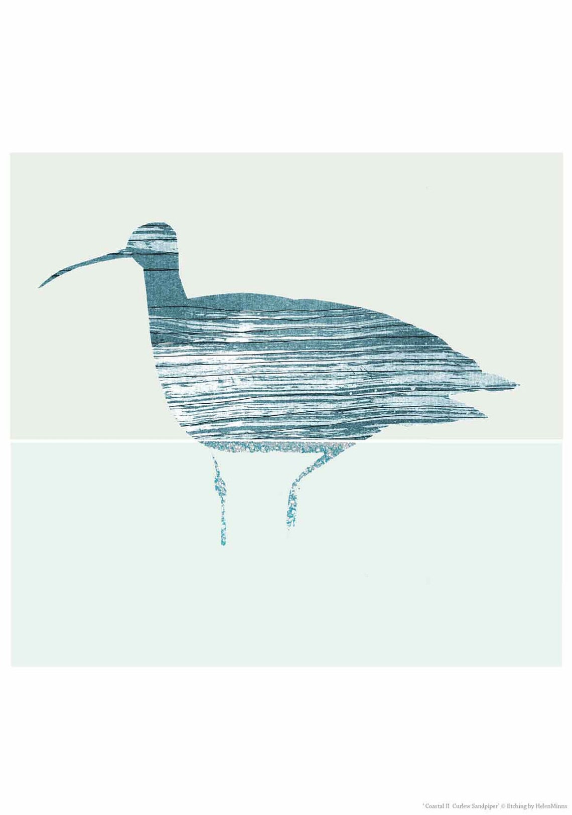 Curlew Etching Digital Print - Etsy UK