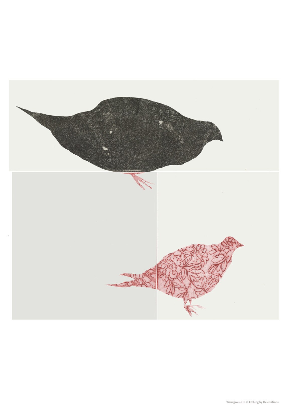 Sand Grouse II Art Print - Etsy