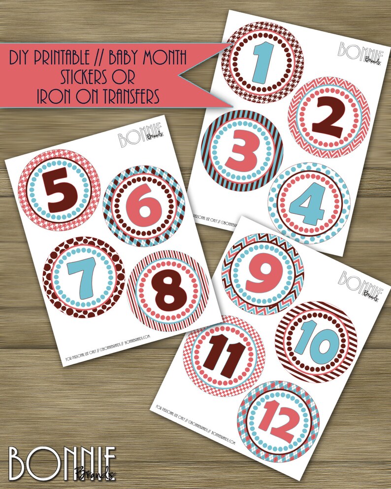 PRINTABLE DIY Monthly Baby Stickers or Iron on Transfers // Baby ...