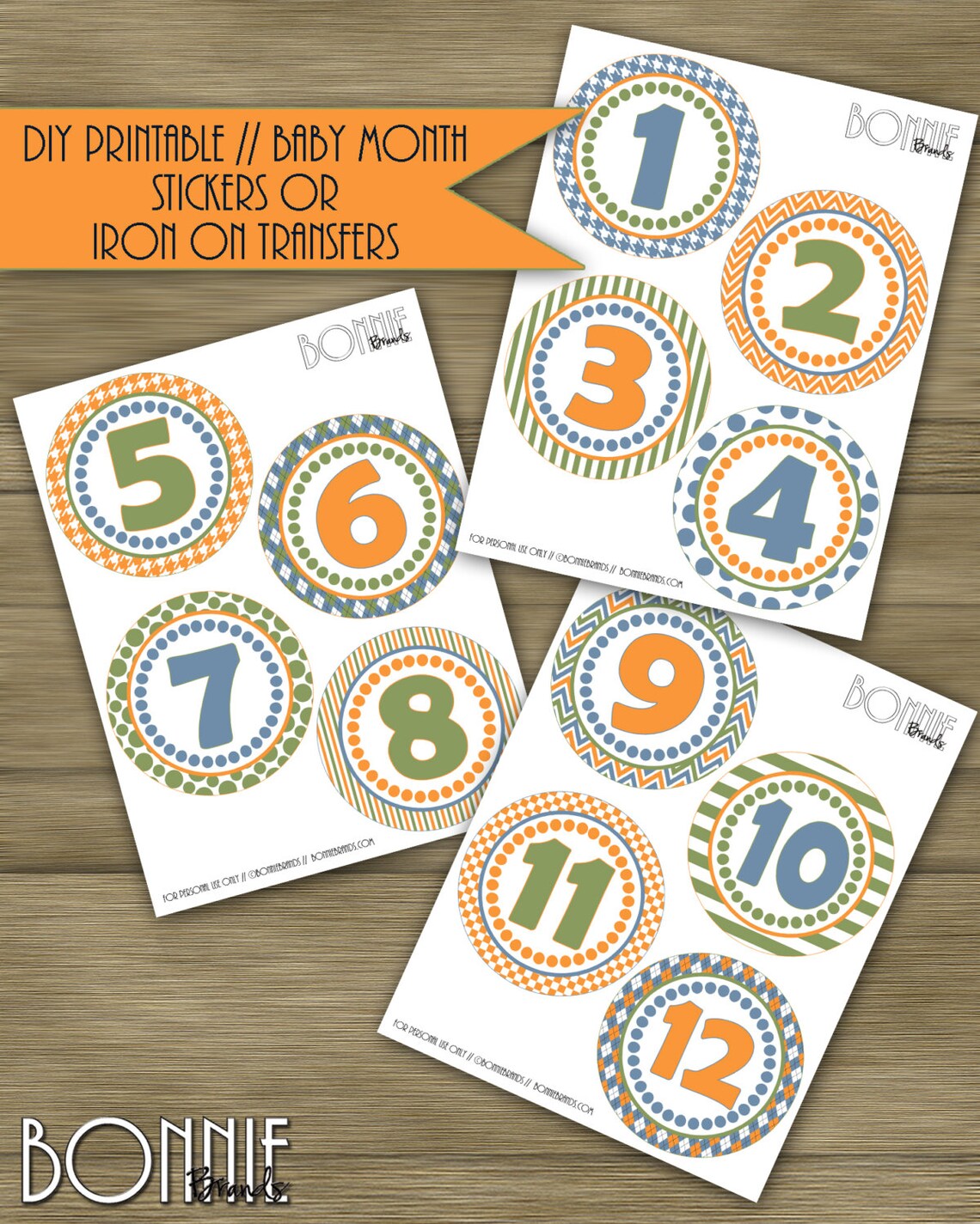 PRINTABLE DIY Monthly Stickers or Iron on Transfers // Baby - Etsy