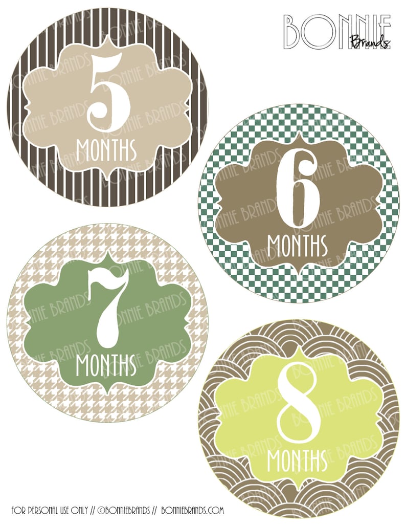 PRINTABLE DIY Monthly Baby Stickers or Iron on Transfers // Baby ...
