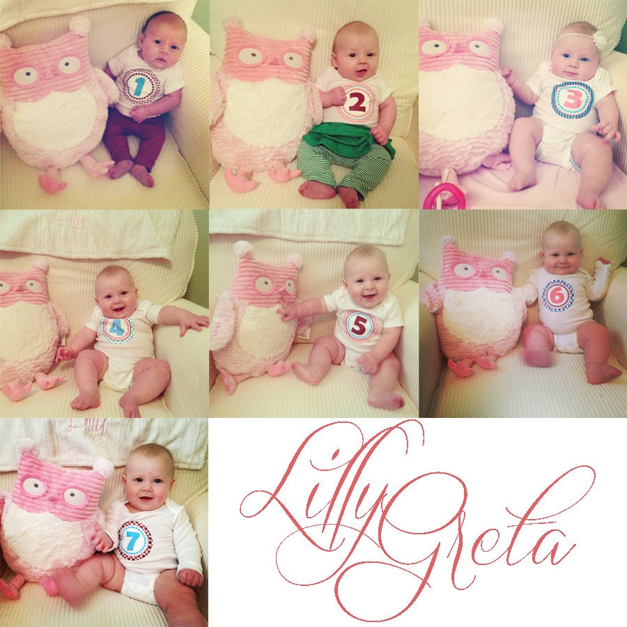 PRINTABLE DIY Monthly Baby Stickers or Iron on Transfers // Baby ...