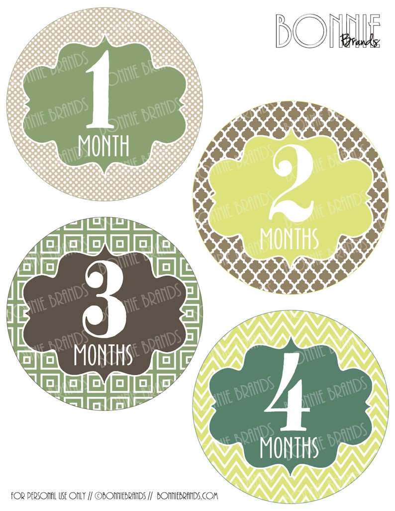 PRINTABLE DIY Monthly Baby Stickers or Iron on Transfers // Baby ...