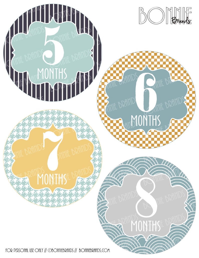 PRINTABLE DIY Monthly Baby Stickers or Iron on Transfers // Baby ...