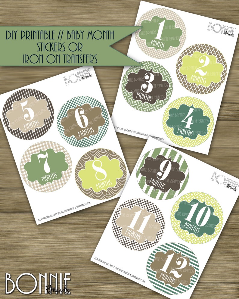PRINTABLE DIY Monthly Baby Stickers or Iron on Transfers // Baby ...