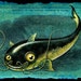 Fish Art Print, Namazu: Smiling Catfish, Tsunami Monster, Mythical ...