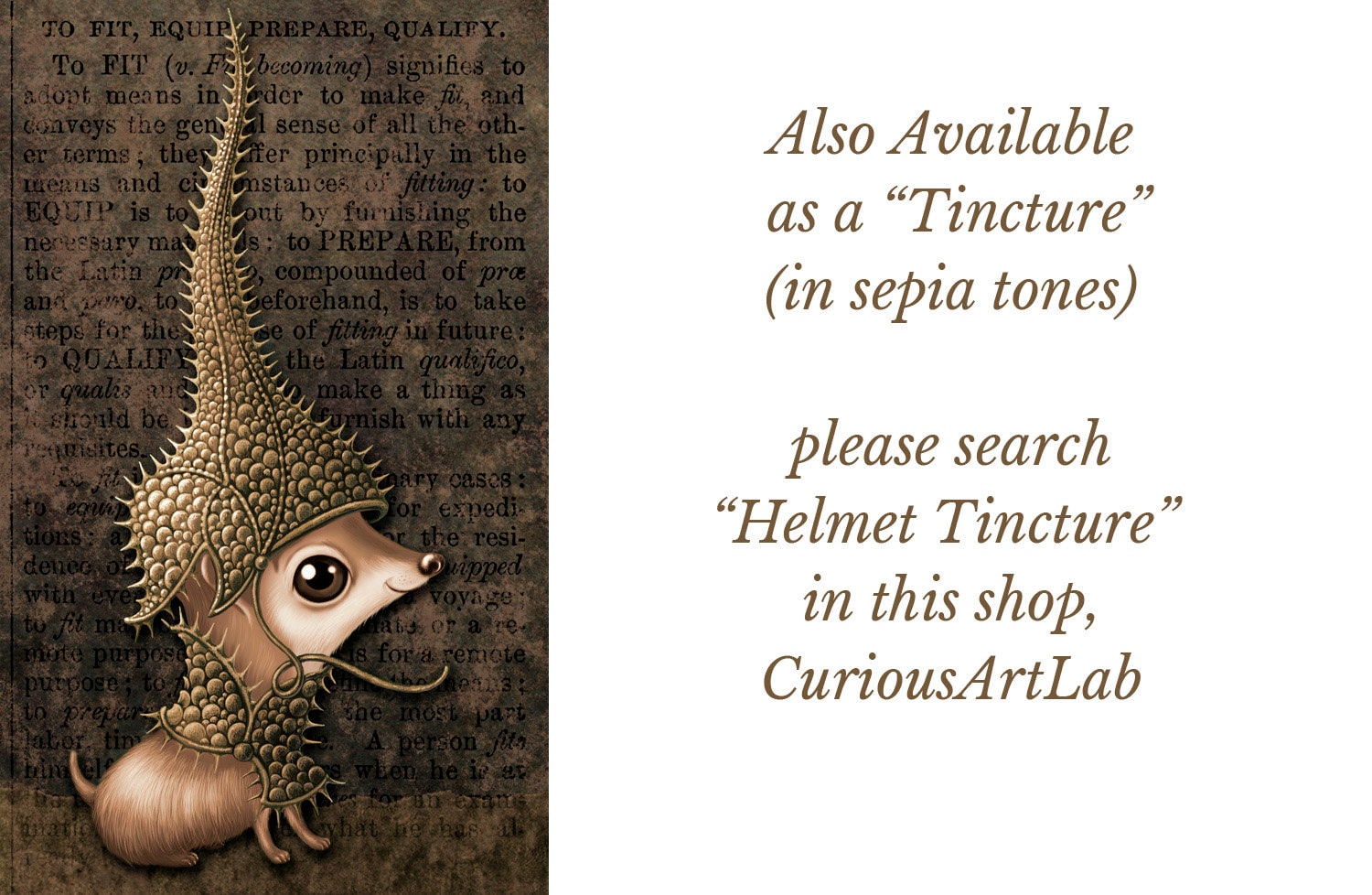 Strangely Cute Art Print 4x6, Come Try My Helmet On: Small Furry ...