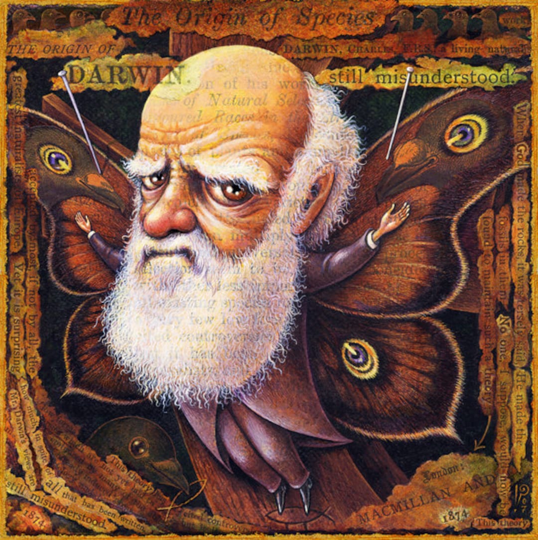 Evolution Art Print, Specimen: Darwin, Charles Darwin With Butterfly ...