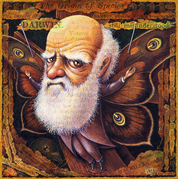 Evolution Art Print, Specimen: Darwin, Charles Darwin With Butterfly ...